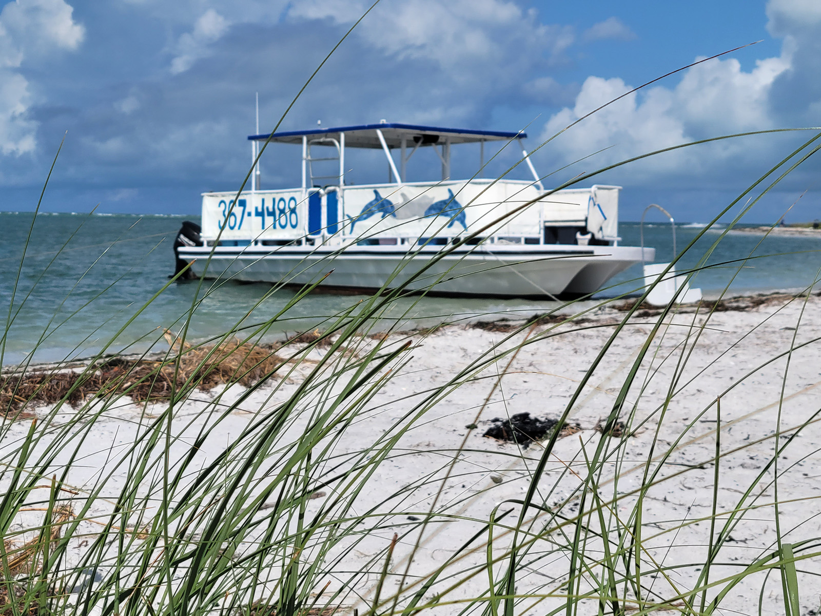 Family Friendly Power Boat Sunset Cruise - Dolphin Landings